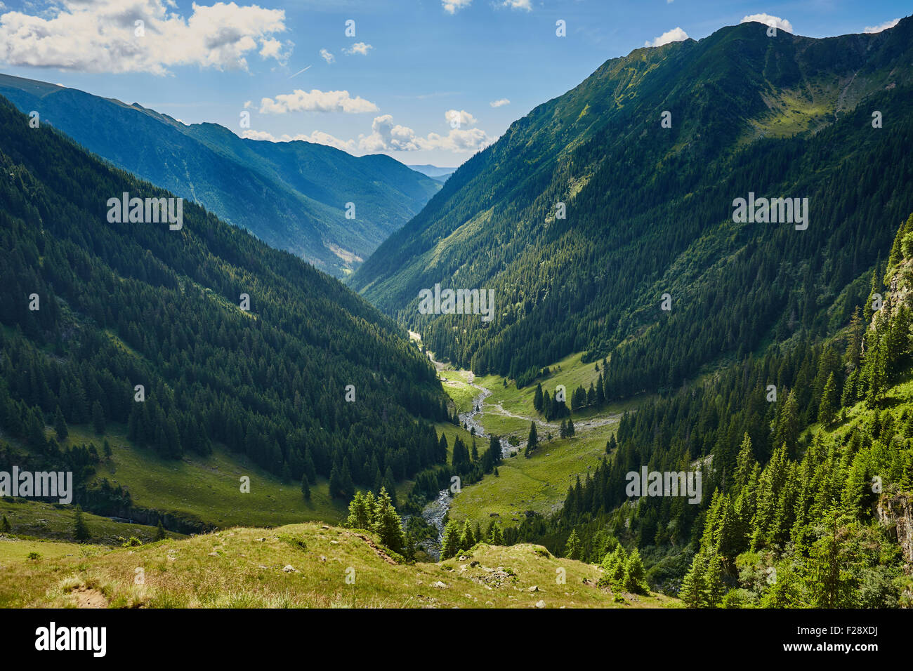 Mountain landscape with afforested valley and a small river Stock Photo ...