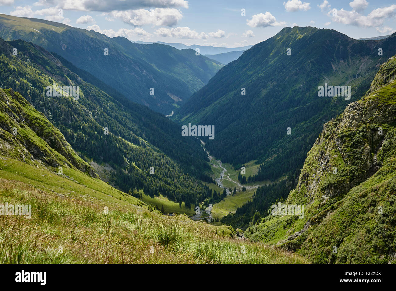 Mountain landscape with afforested valley and a small river Stock Photo ...
