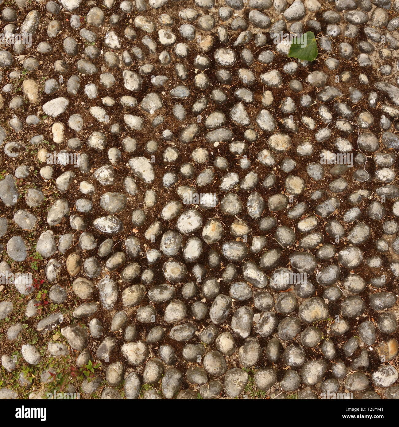 Cobblestones pattern hi-res stock photography and images - Alamy