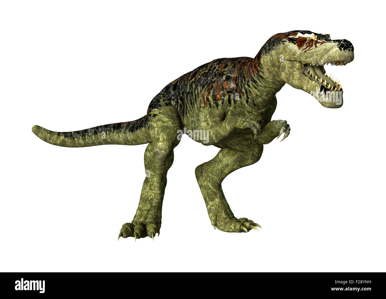 3D digital render of a dinosaur Tyrannosaurus Rex isolated on white ...