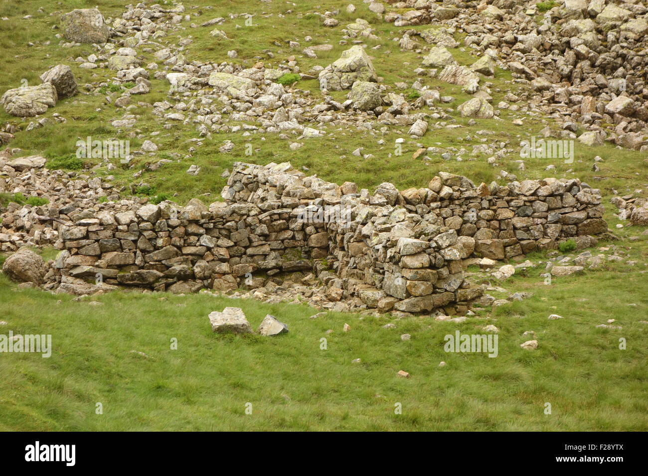 Sheepfold Stock Photos & Sheepfold Stock Images - Alamy