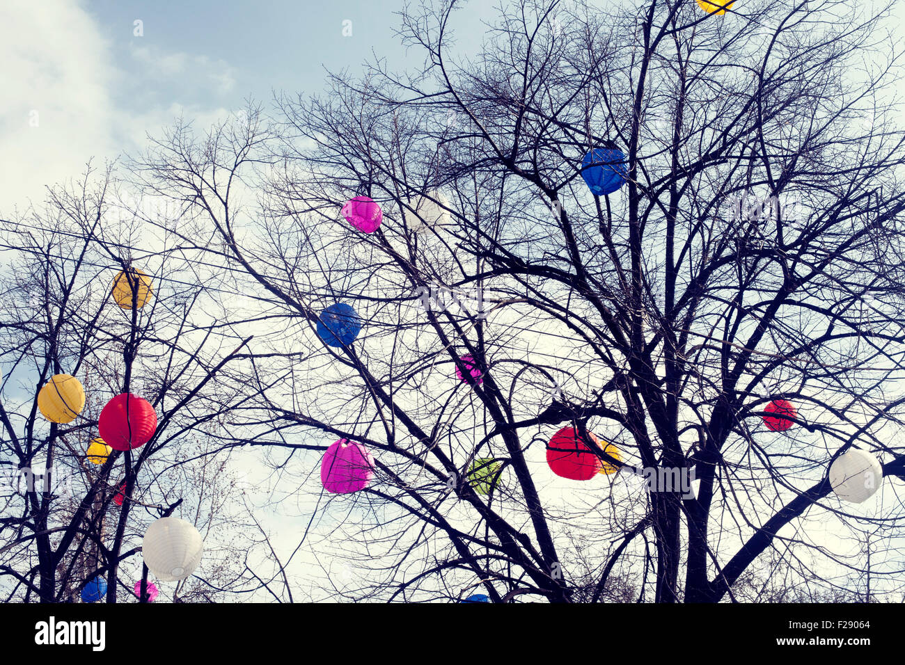 Tree with lanterns hi-res stock photography and images - Alamy