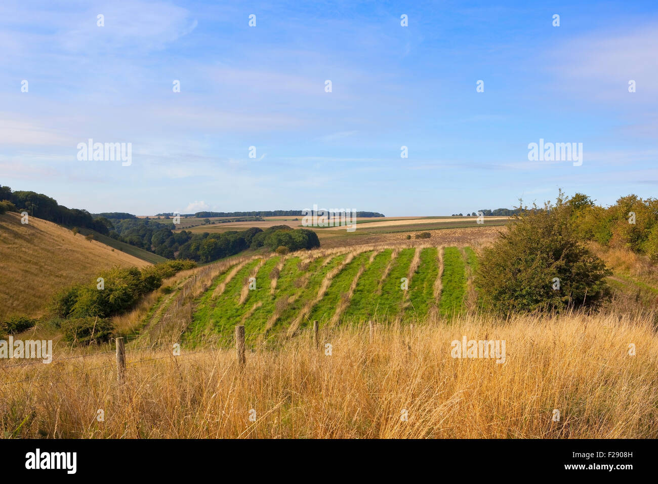 Patterns and textures of dry grasses and fields in the patchwork ...