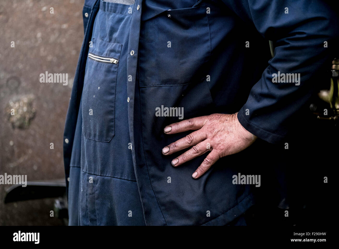 The hands of a steam engine owner at the Essex Country Show ...