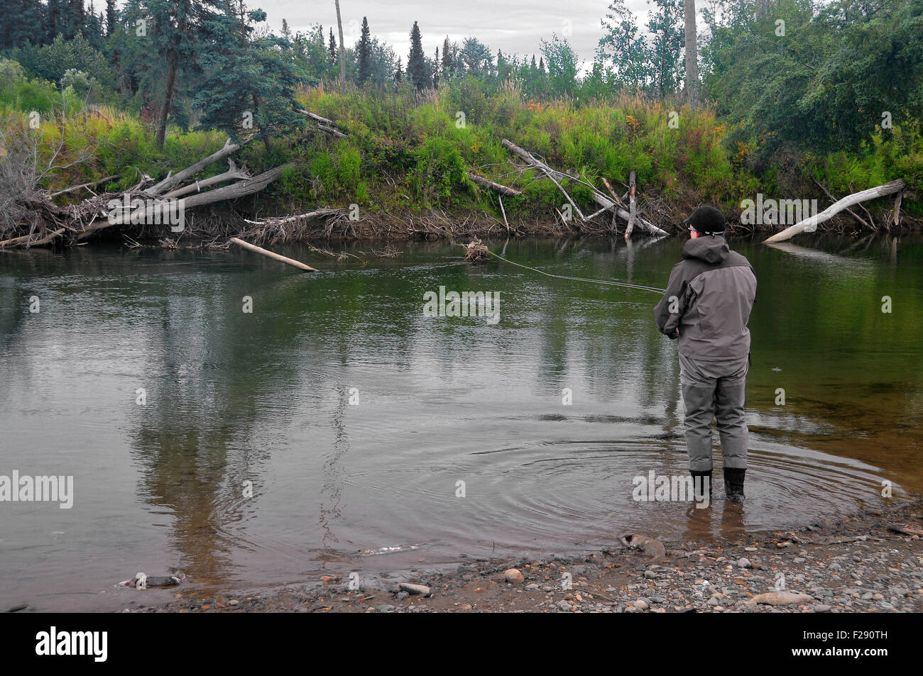 Alaska's Aniak River and its log jams and wood piles offer great fly ...