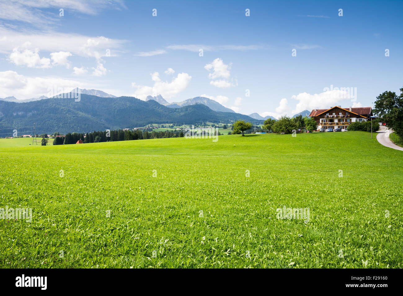 Pasture in the Allgaeu (Bavaria, Germany Stock Photo - Alamy