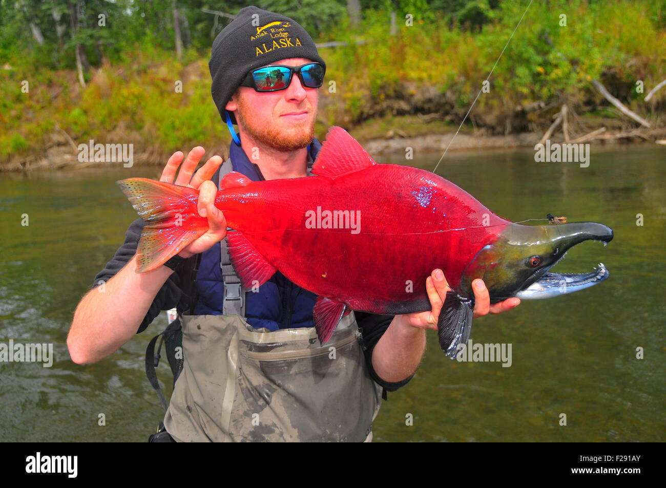 Alaska's Aniak River and its braids offer great fly fishing for sockeye ...