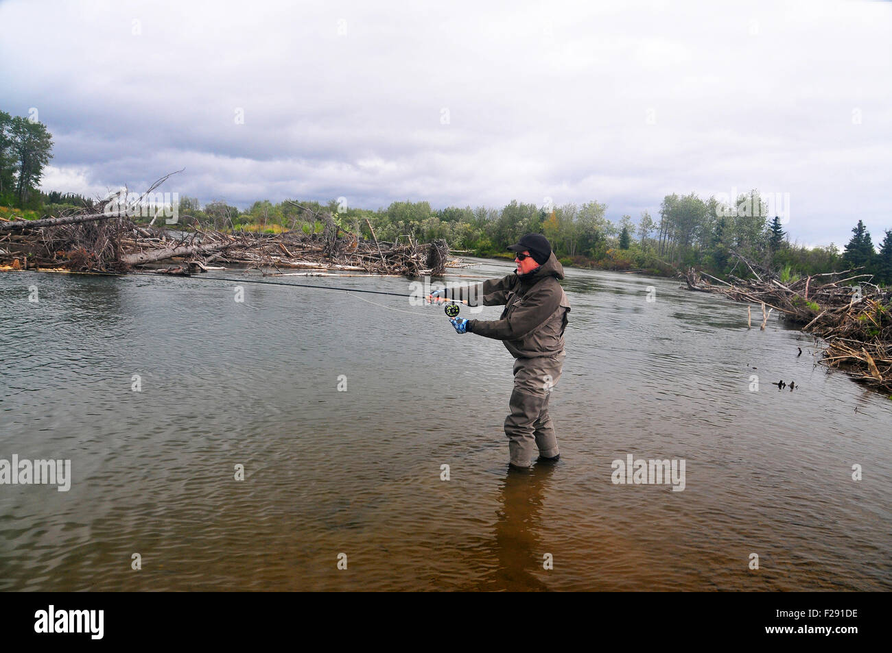 Alaska's Aniak River and its log jams and wood piles offer great fly ...