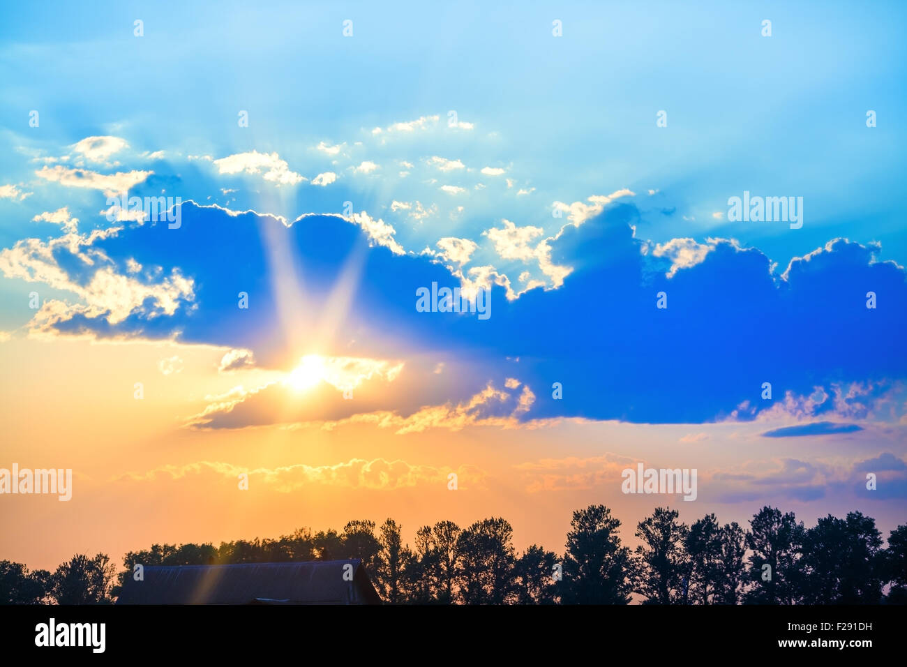 Beautiful golden sunset over the forest. Colorful scenic sky with ...