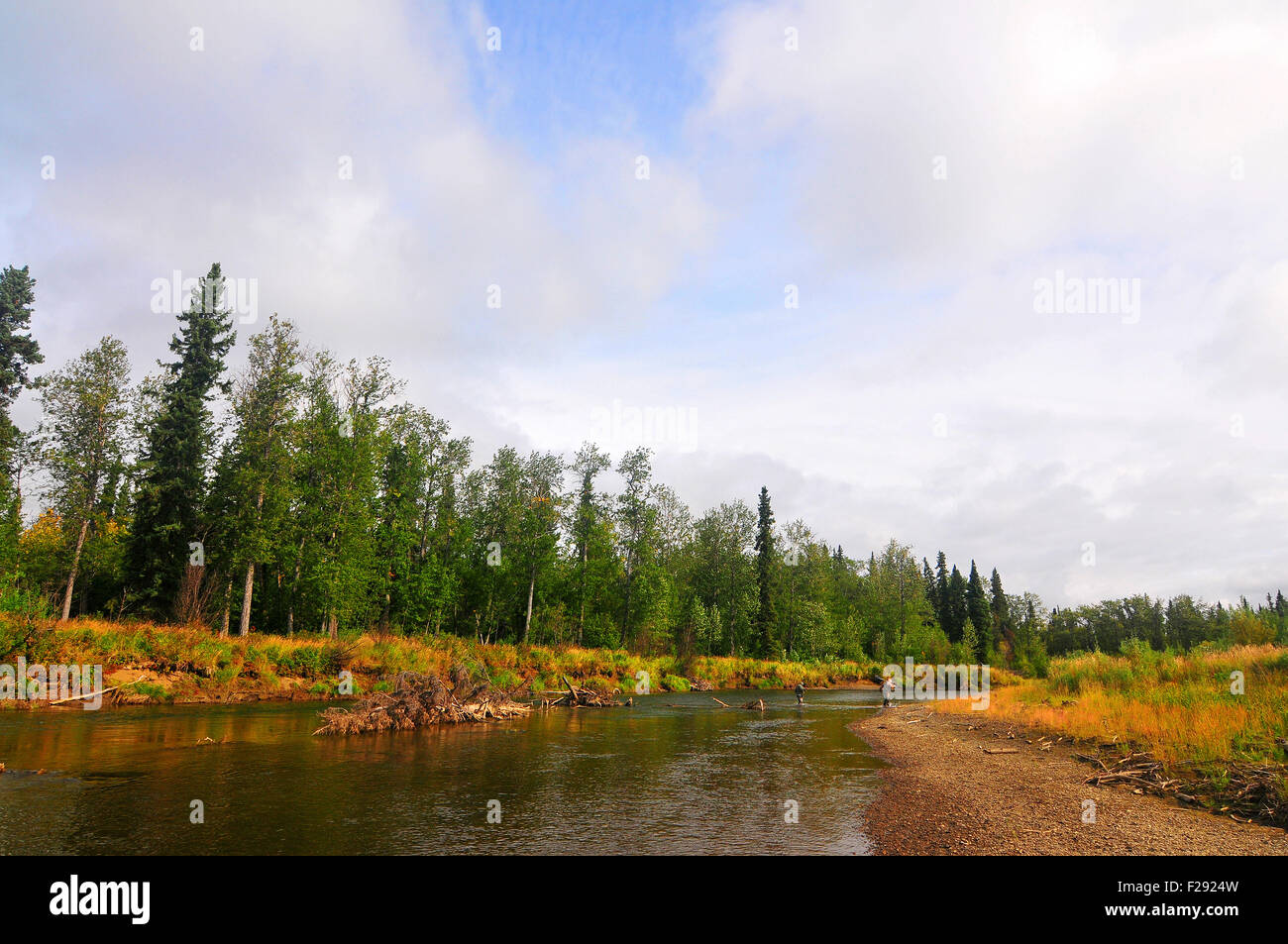 Alaska's Aniak River and its braids offer great fly fishing for silver ...