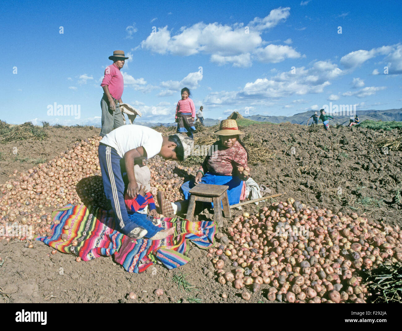Inca indians of the andes hi-res stock photography and images - Alamy