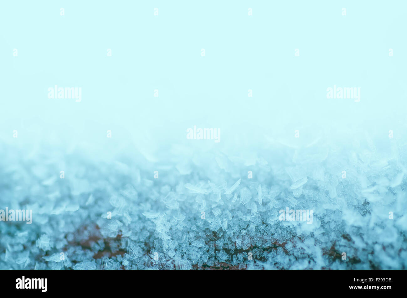 Winter iced background Stock Photo - Alamy