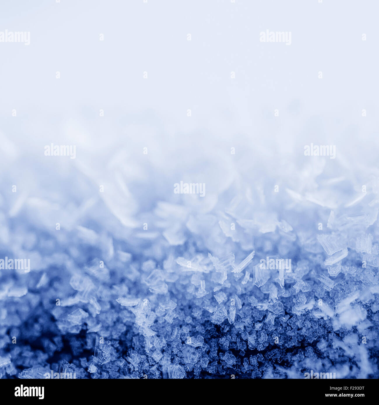 Winter iced background Stock Photo - Alamy