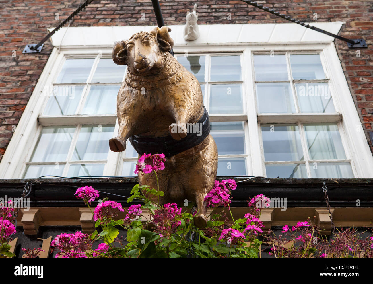 A detail of the Golden Fleece public house in York, England. The Golden ...