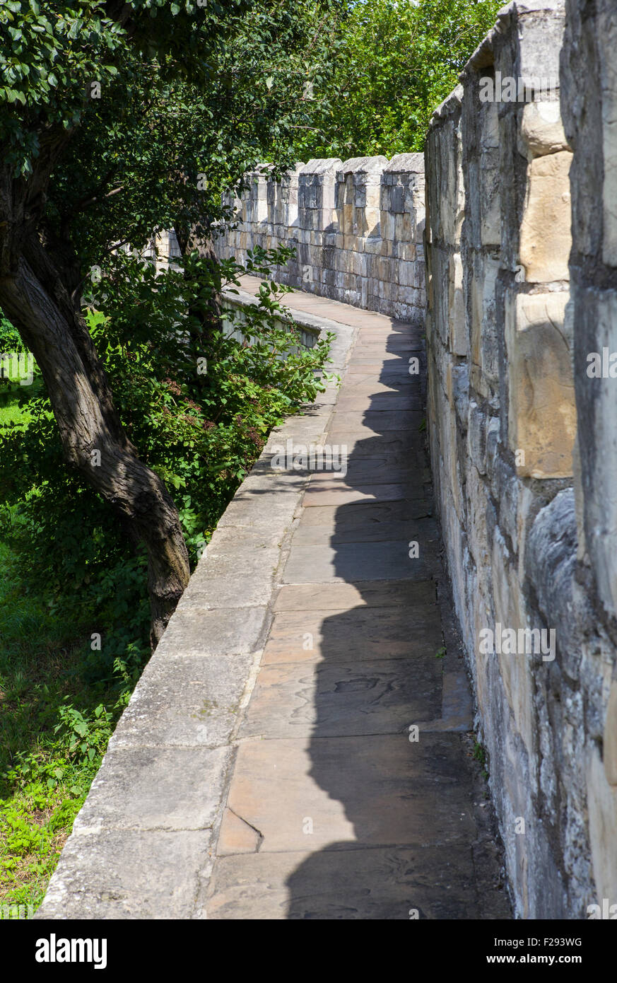 The historic York City Walls in York, England. Since Roman times, the ...