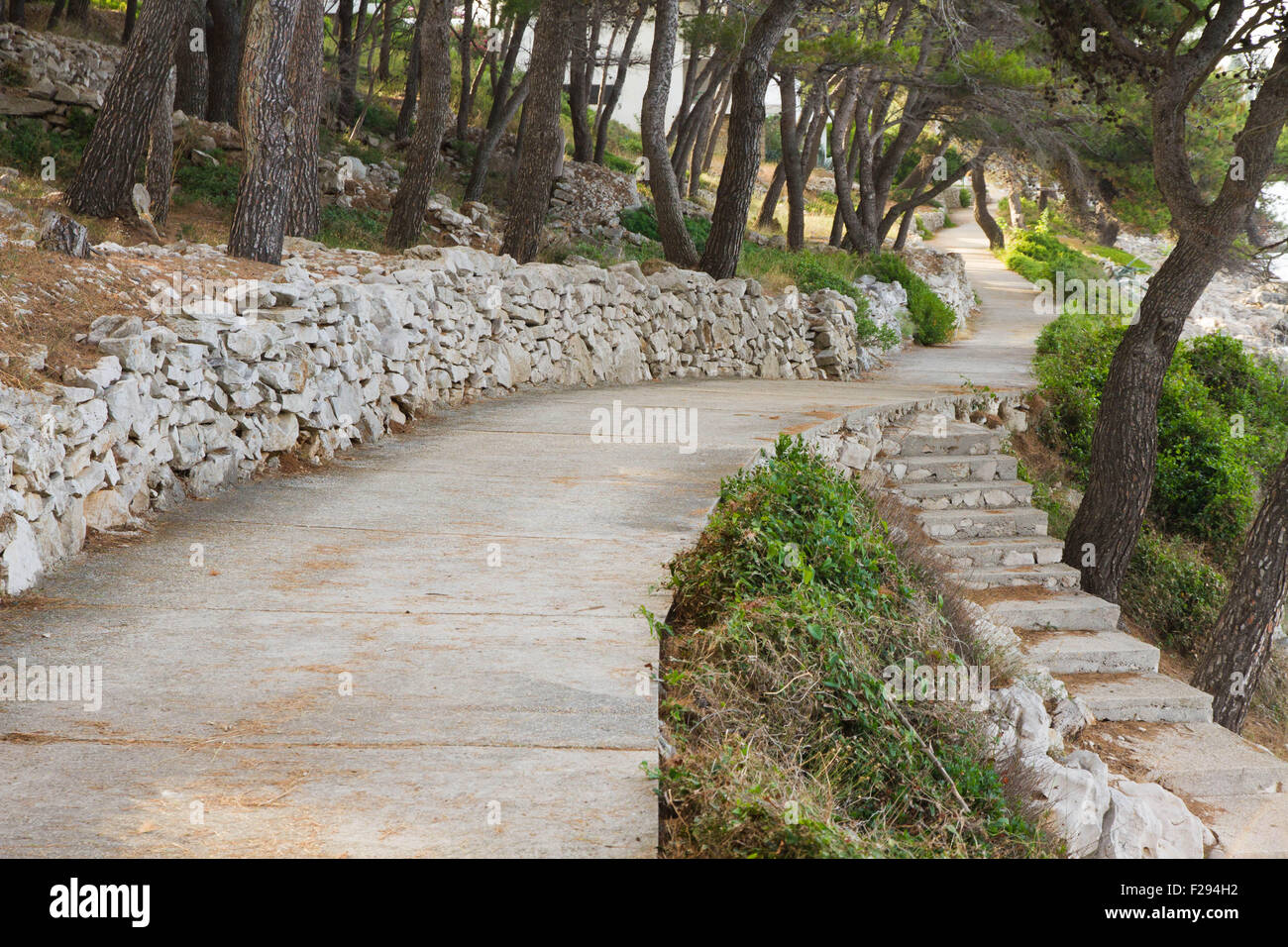 Path between pine trees and stone walls Stock Photo - Alamy