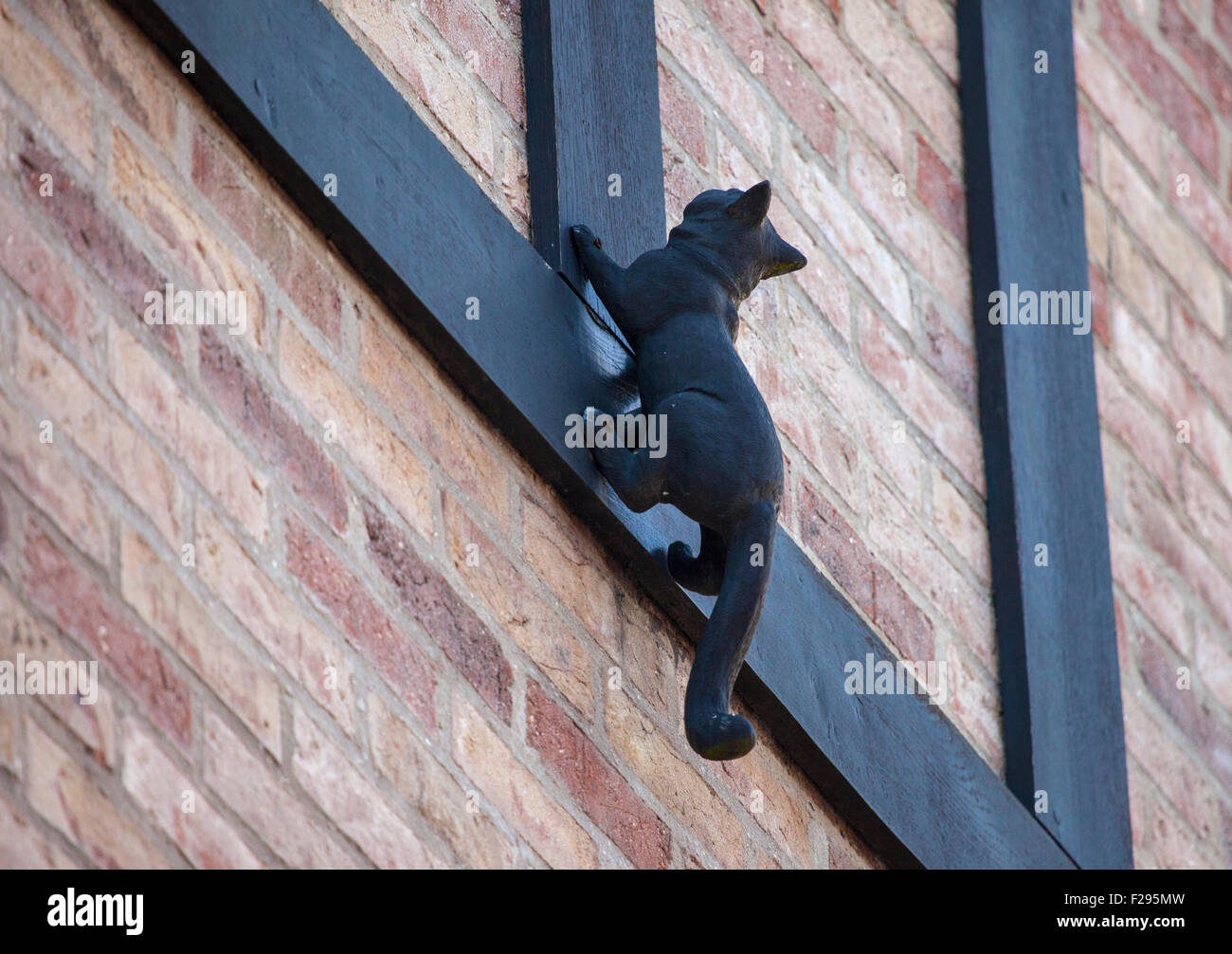 York cat statue uk hi-res stock photography and images - Alamy