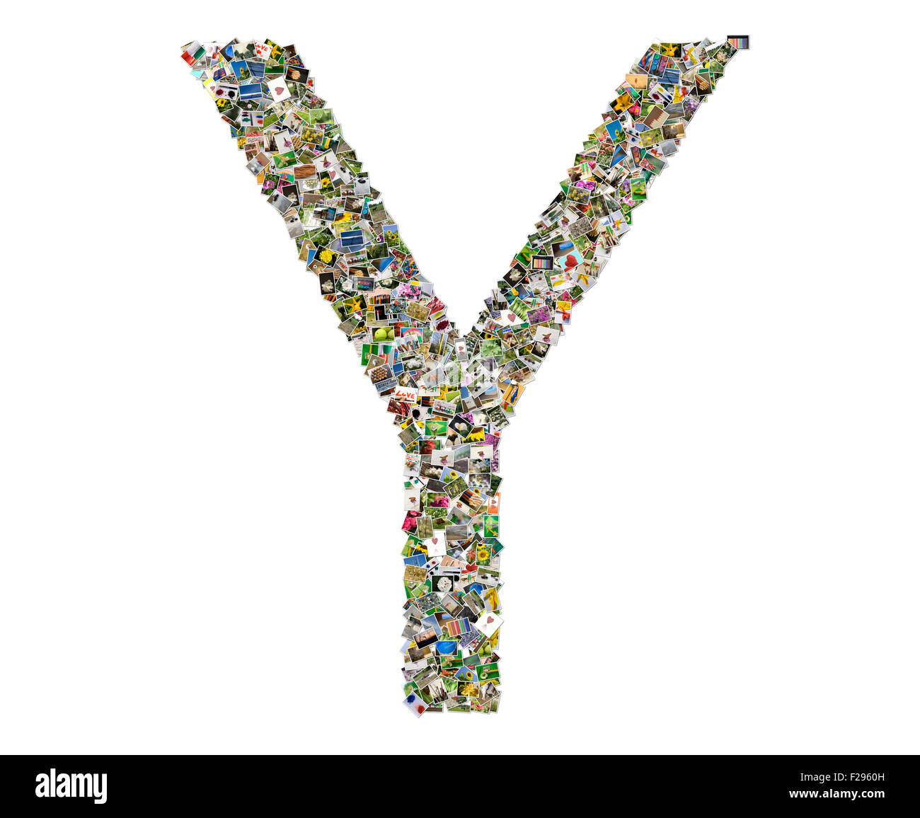Letter y, photos collage isolated on a white background Stock Photo - Alamy