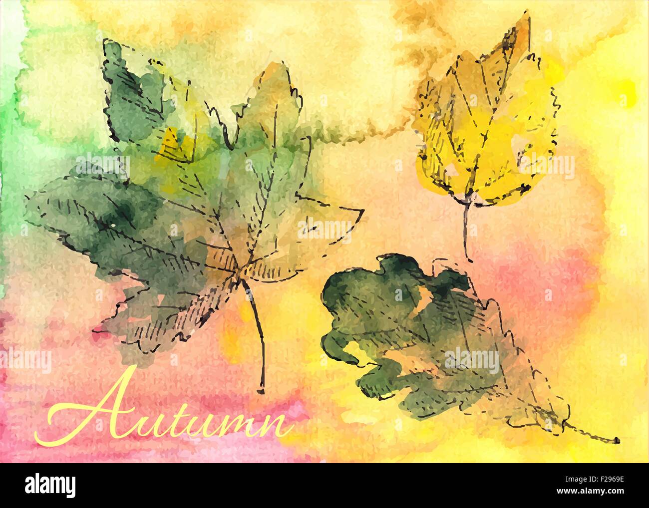 Hand drawn autumn leaves Stock Vector Image & Art - Alamy