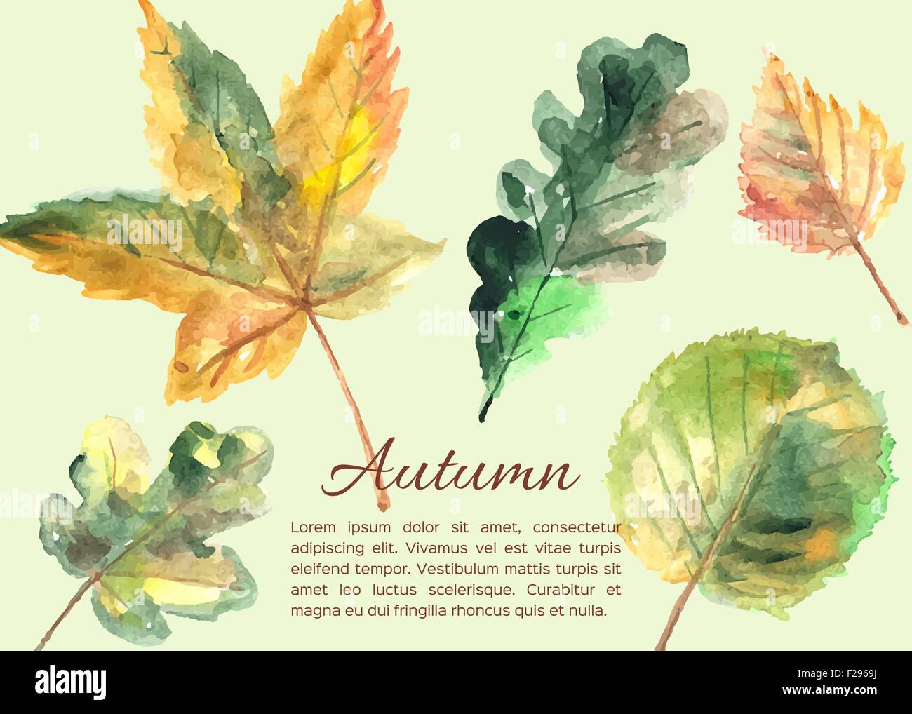 Hand drawn autumn leaves Stock Vector Image & Art - Alamy