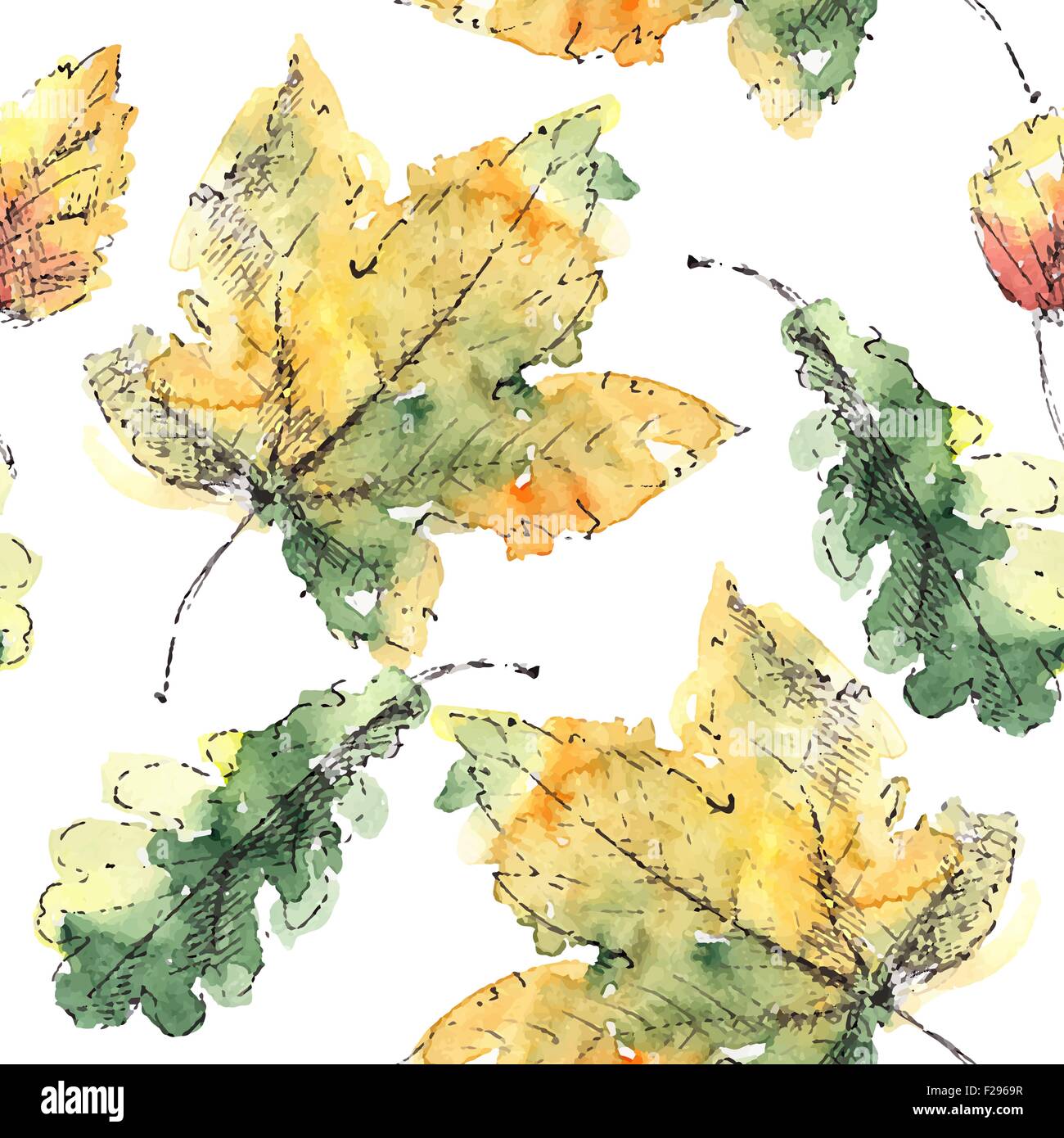 Hand drawn autumn leaves Stock Vector Image & Art - Alamy