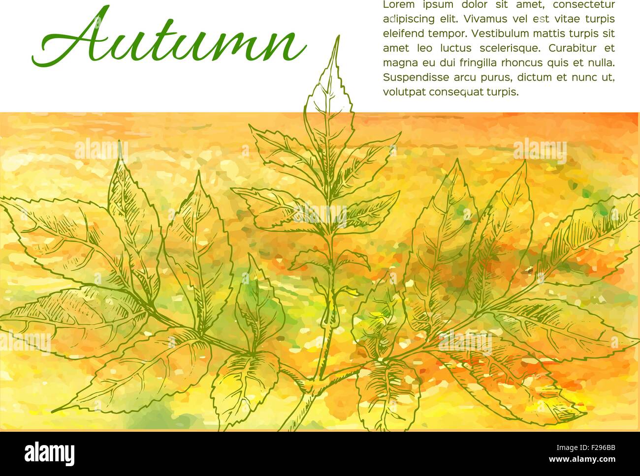 Hand drawn autumn leaves Stock Vector Image & Art - Alamy
