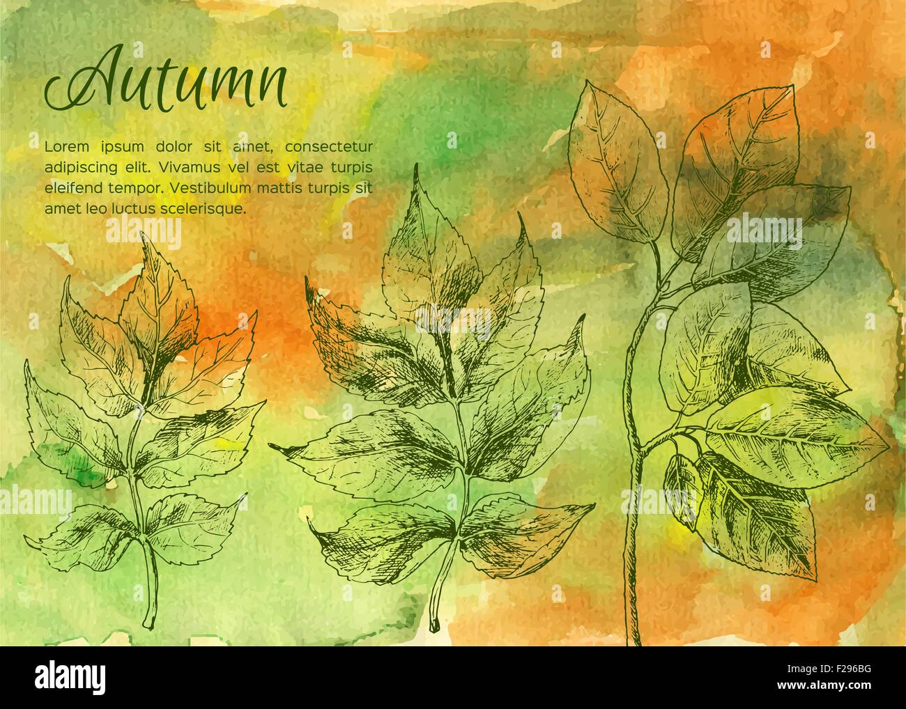 Hand drawn autumn leaves Stock Vector Image & Art - Alamy