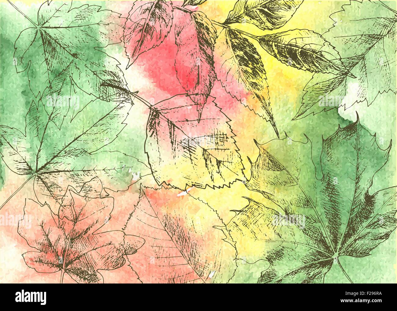 Hand drawn autumn leaves Stock Vector Image & Art - Alamy