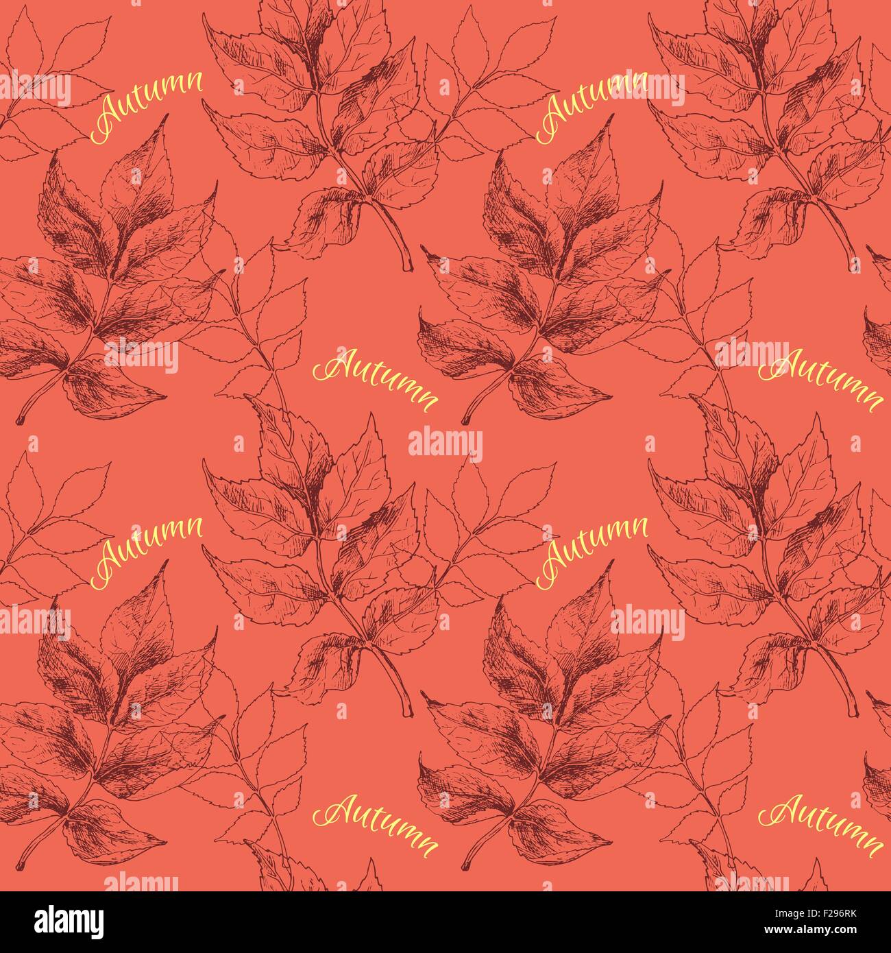 Hand drawn autumn leaves Stock Vector Image & Art - Alamy