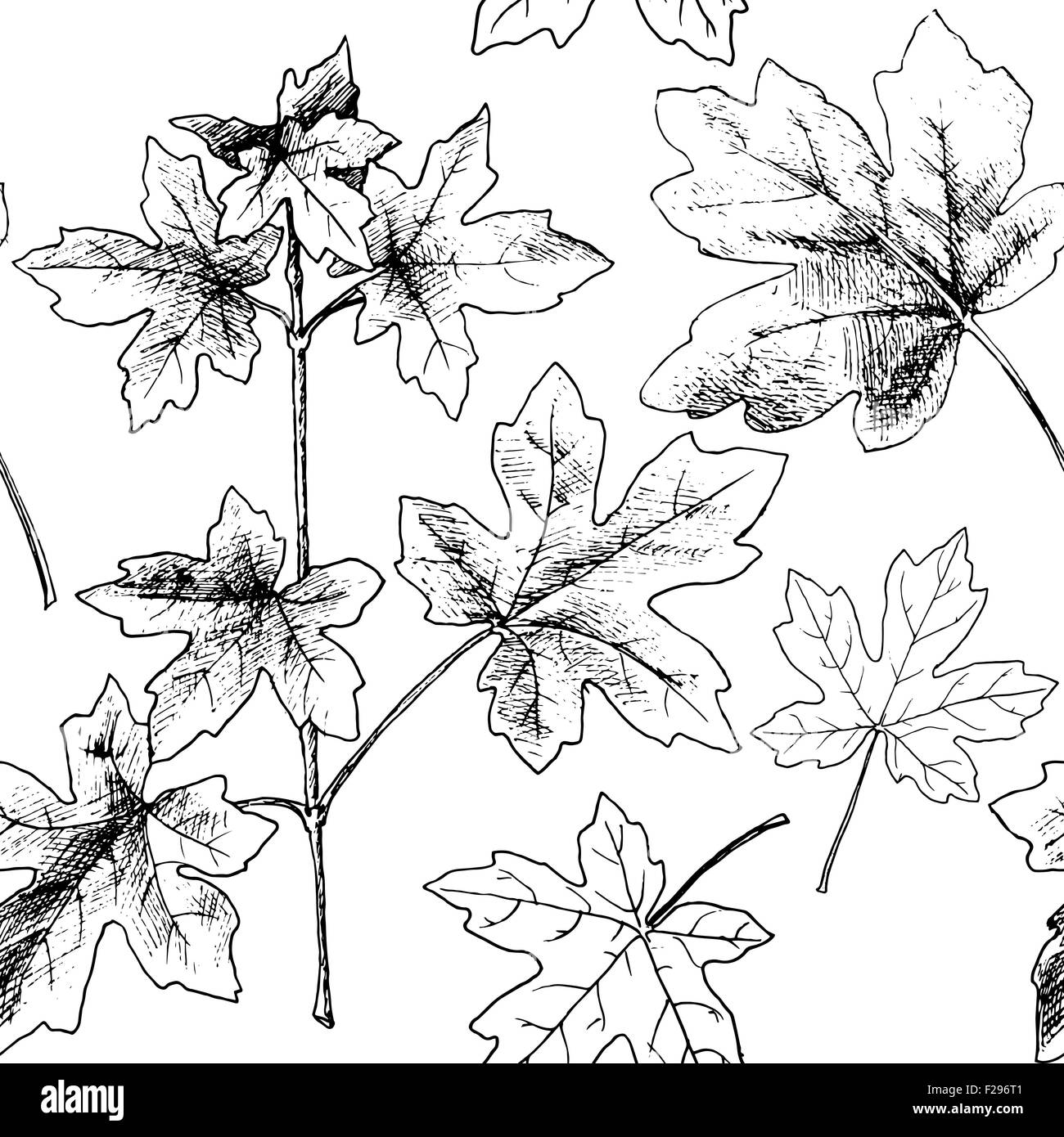 Hand drawn autumn leaves Stock Vector Image & Art - Alamy