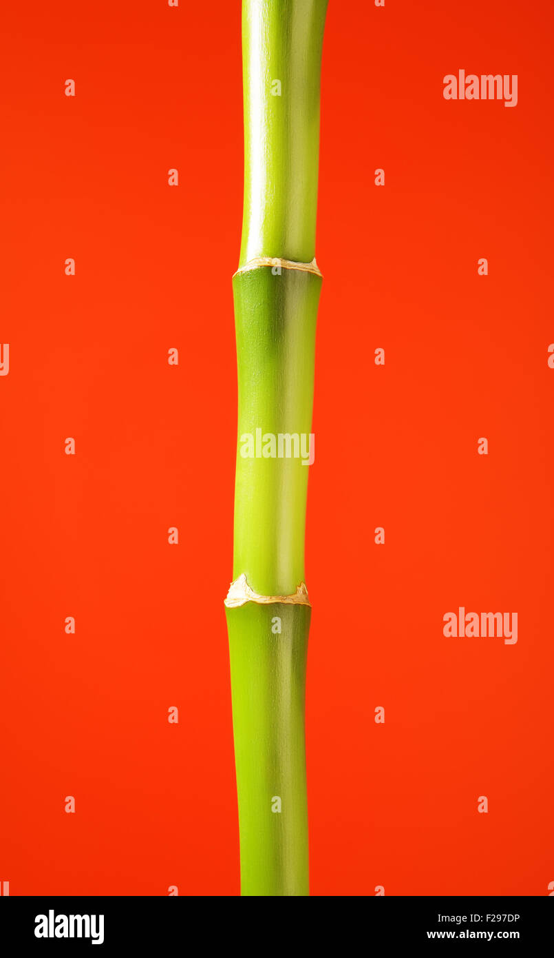 Bamboo stick hi-res stock photography and images - Alamy