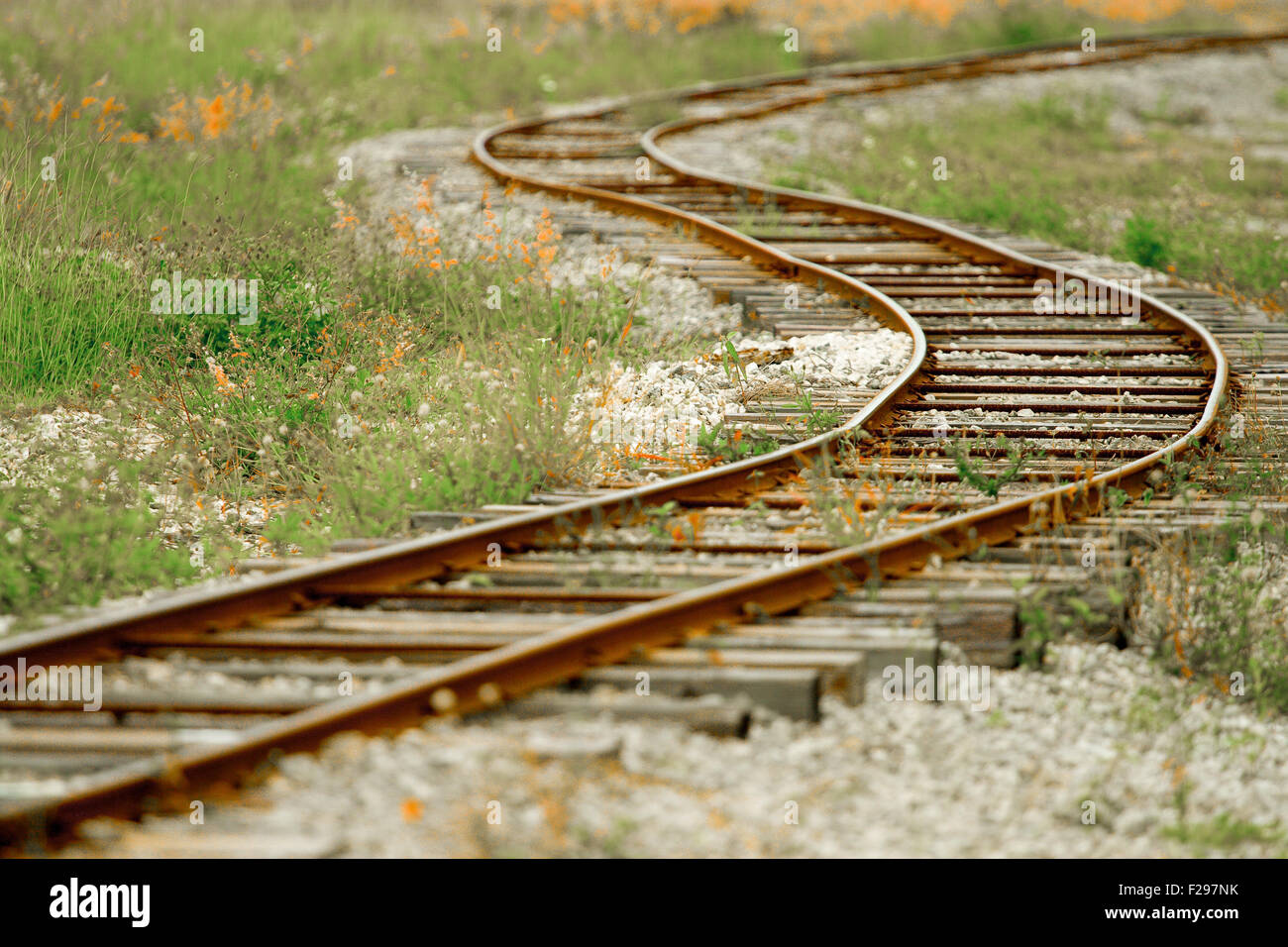 Abandoned rusty railway tracks in rural area Stock Photo - Alamy