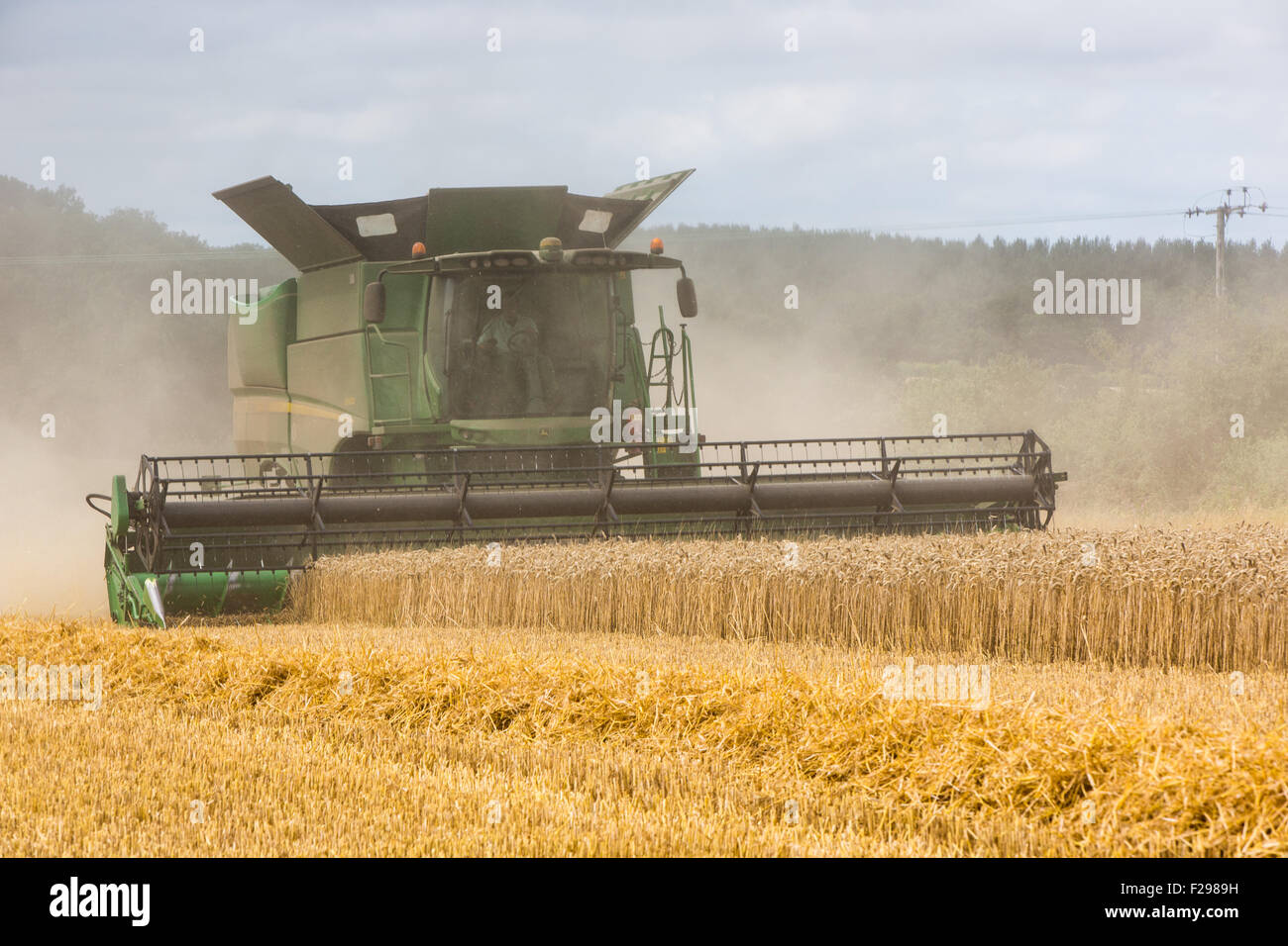 Combine harvester at work harvesting wheat Stock Photo - Alamy