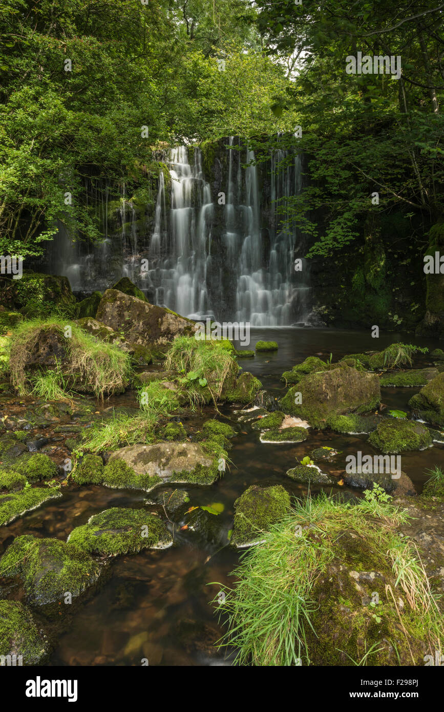 Scale Haw Force waterfall, Hebden, North Yorkshire Stock Photo - Alamy