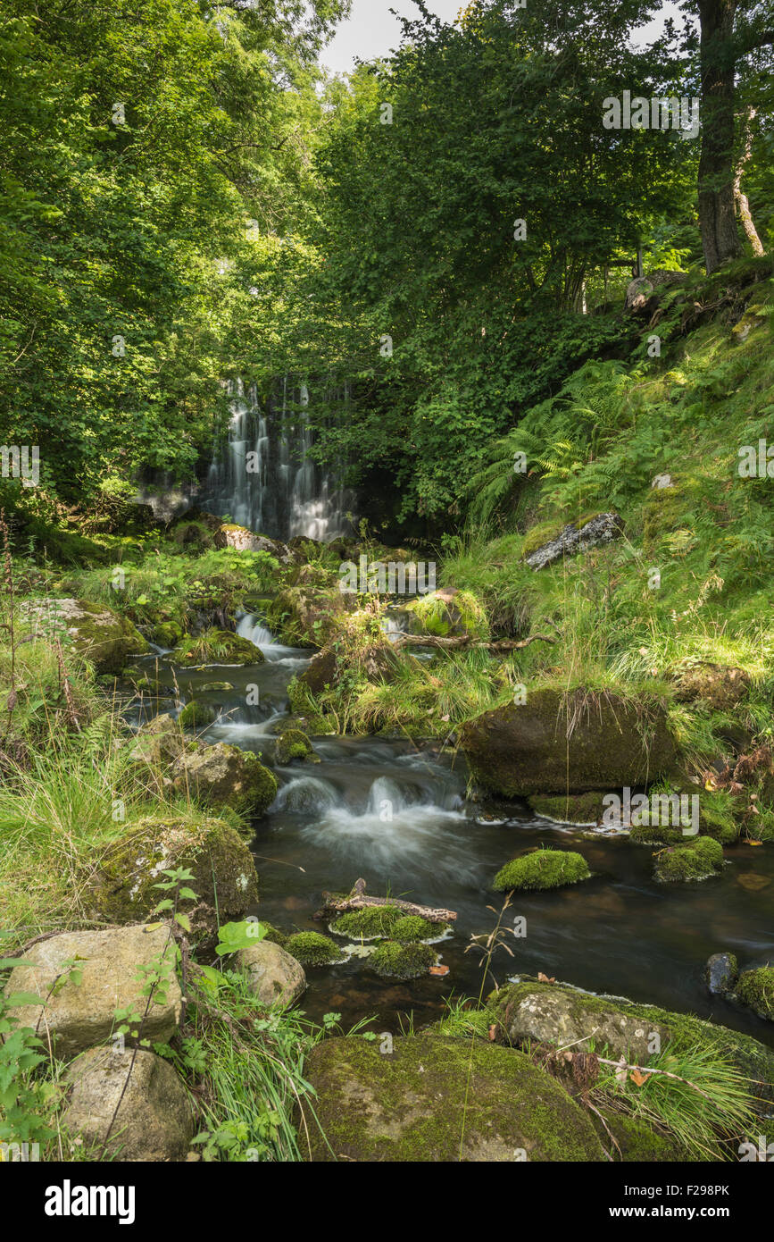 Scale Haw Force, Hebden, North Yorkshire Stock Photo - Alamy
