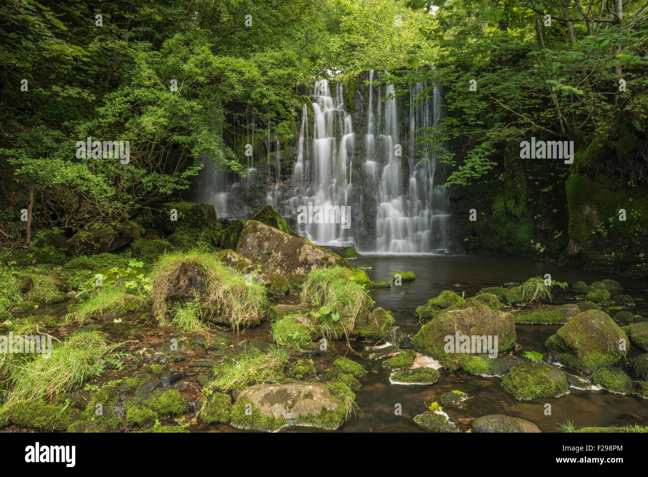 Scale Haw Force waterfall, Hebden, North Yorkshire Stock Photo - Alamy