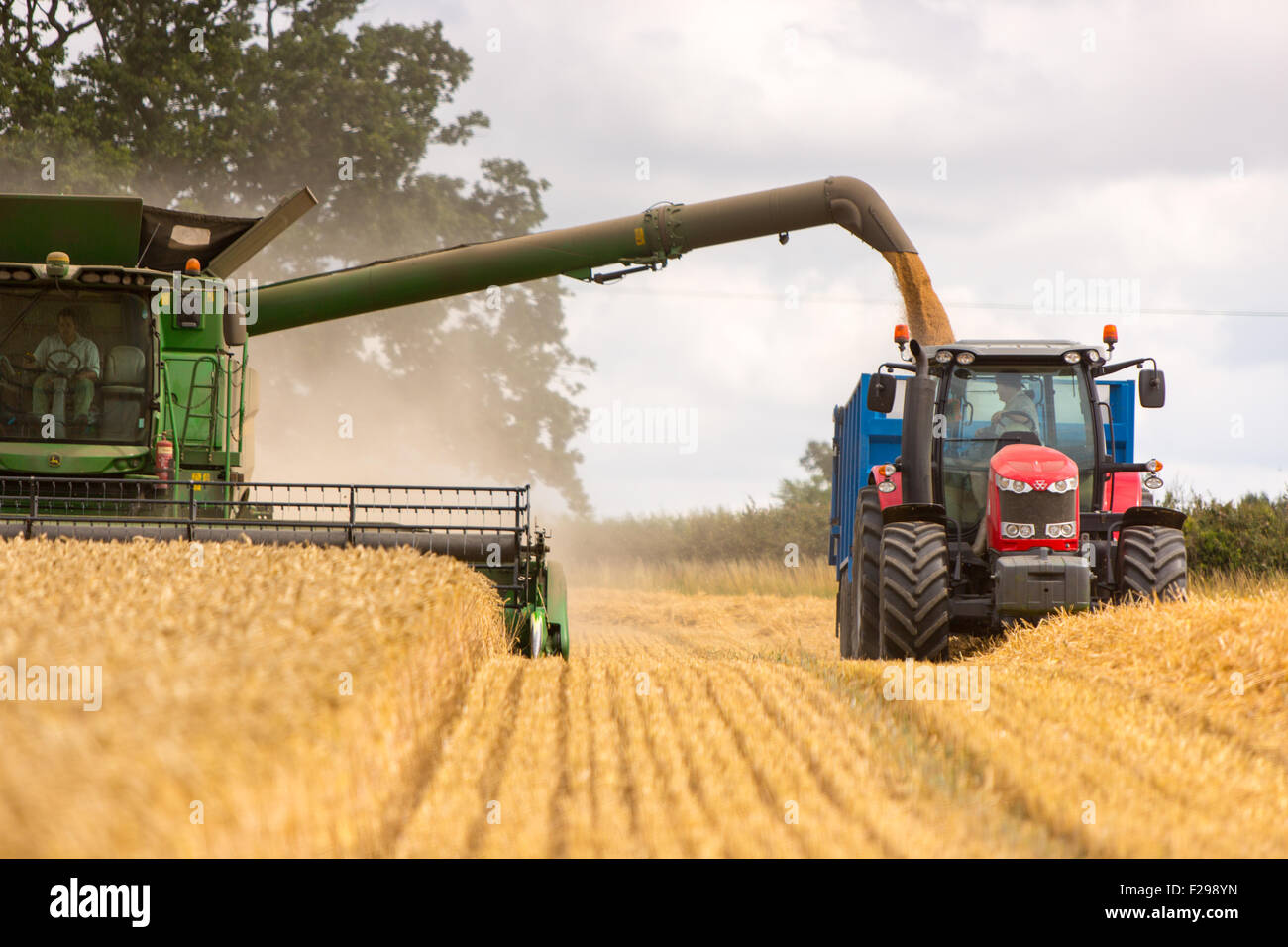 Combine harvester / tractor at work harvesting wheat Stock Photo - Alamy