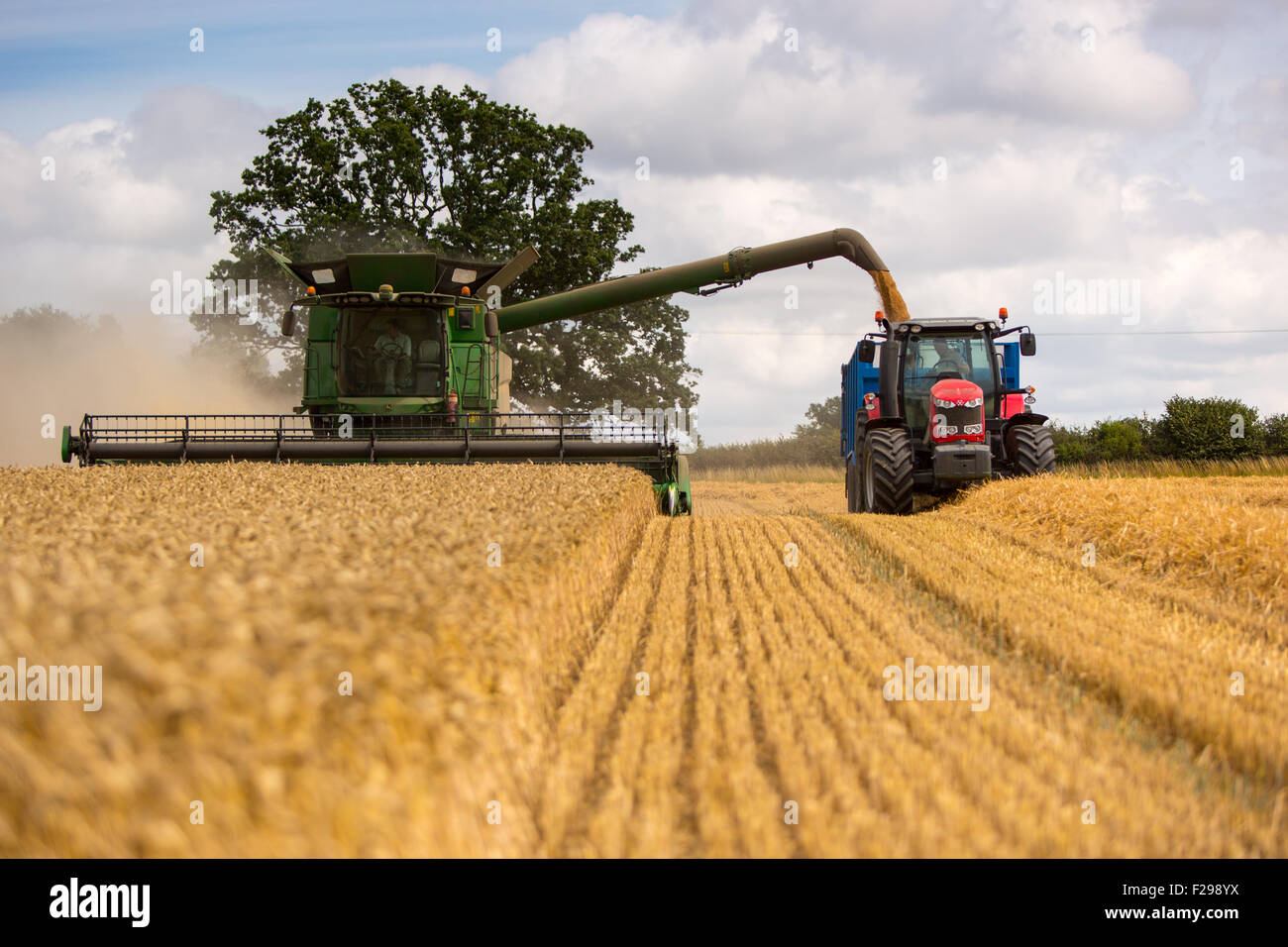 Combine harvester / tractor at work harvesting wheat Stock Photo - Alamy