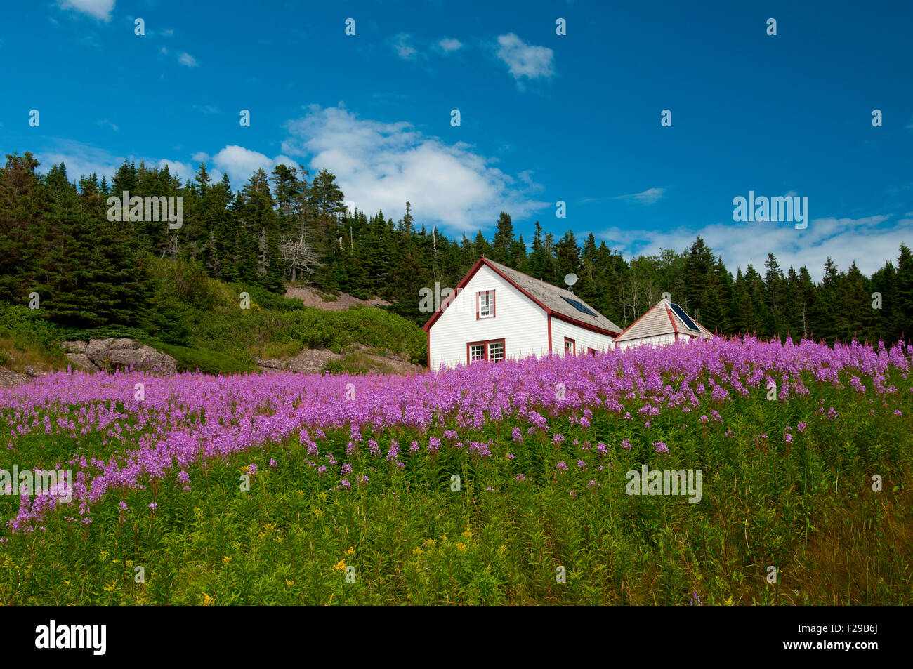 Rangers home in Bonaventure National Park (Quebec, Canada Stock Photo ...