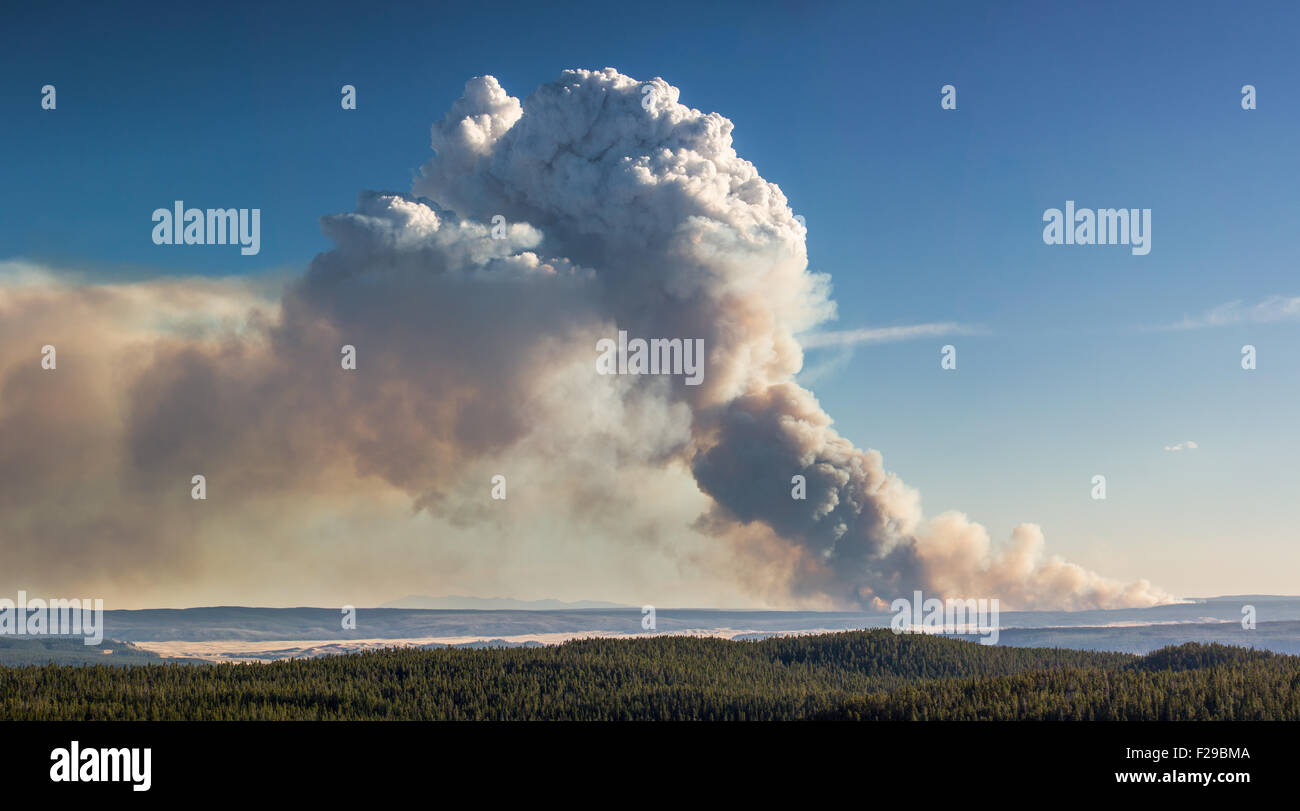 Yellowstone burns steam smoke fire hi-res stock photography and images ...