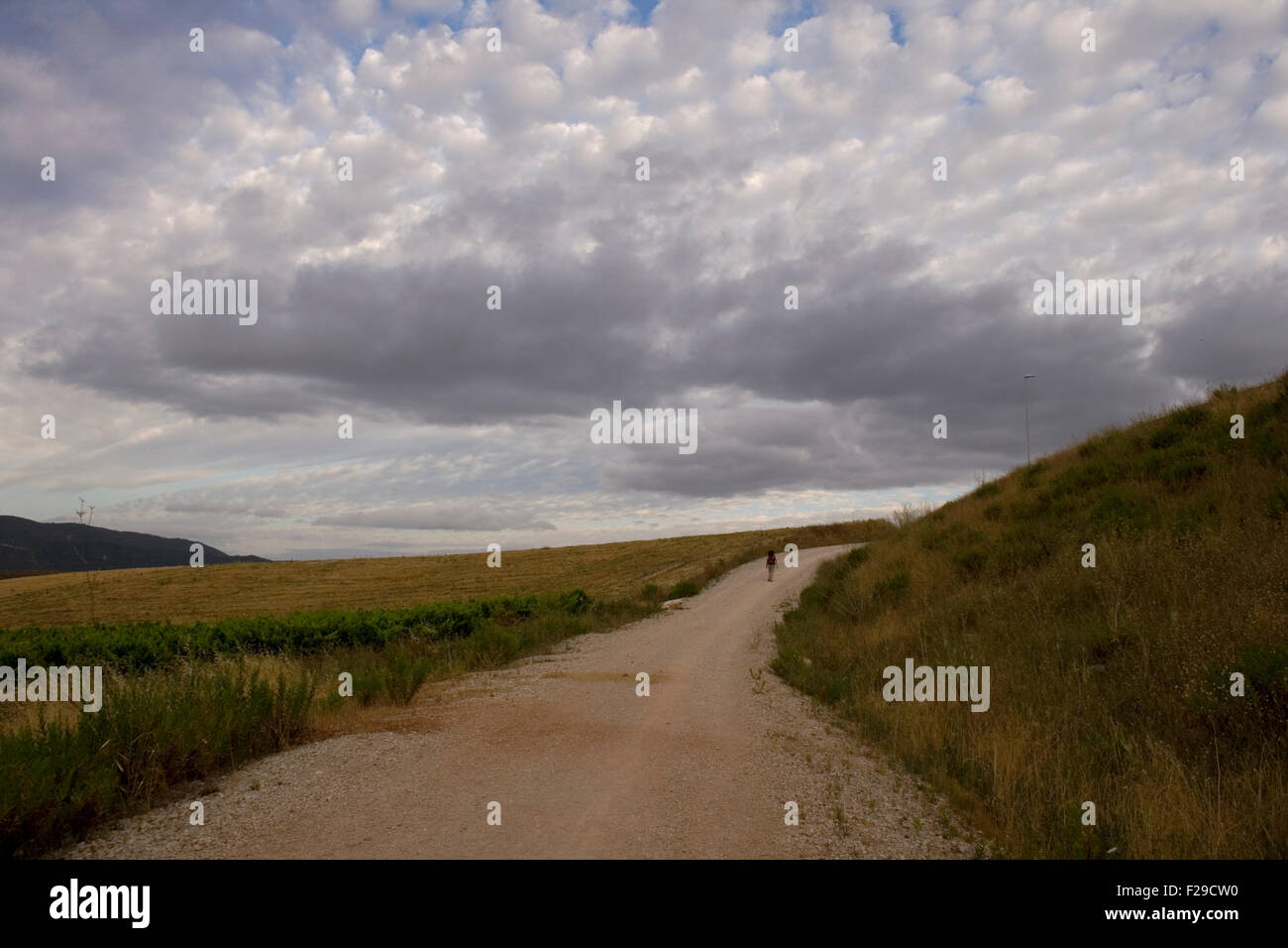 Pilgrims on the road, Way of St. James Stock Photo - Alamy