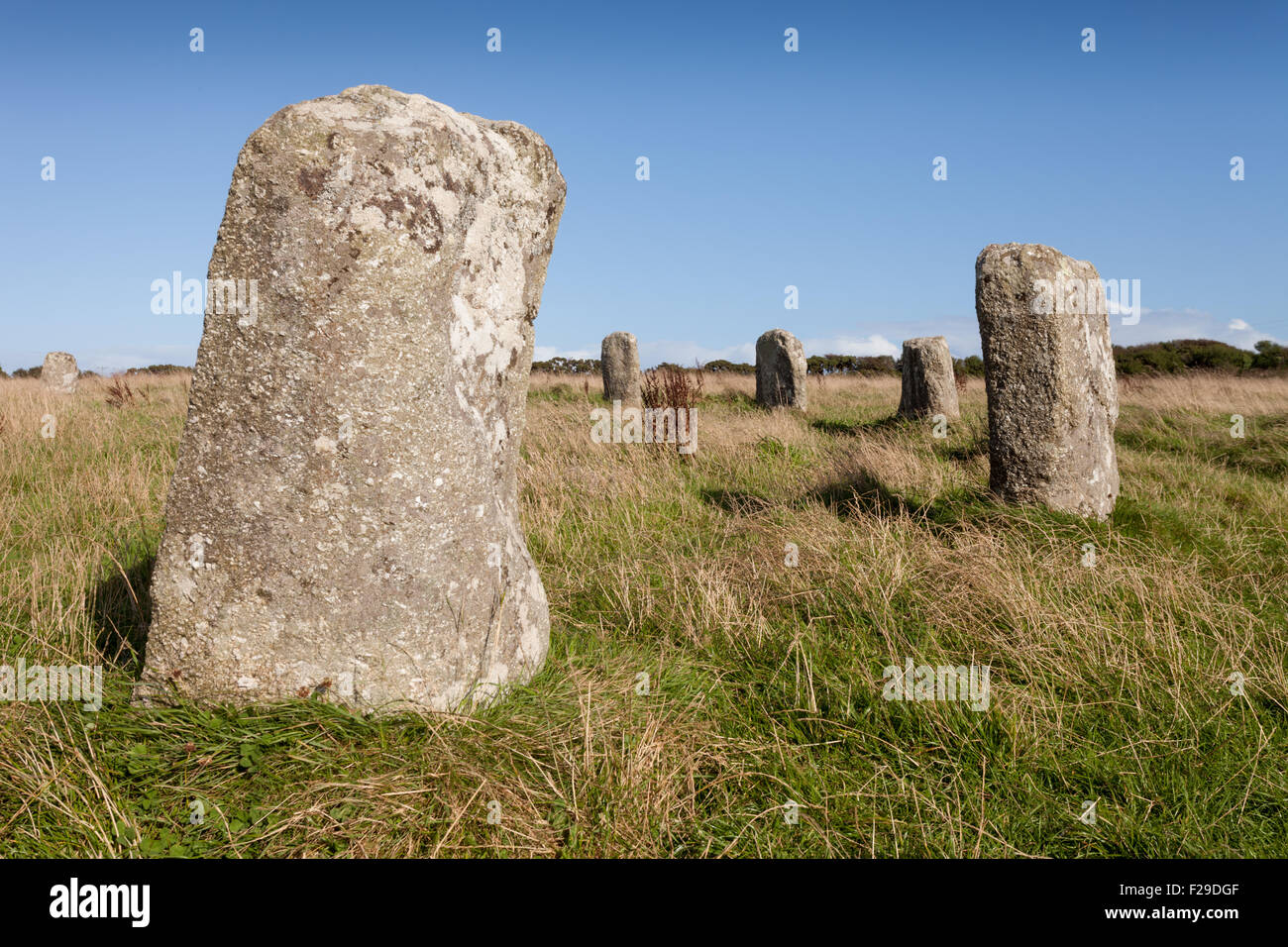 Merry Maidens stone circle, St Buryan, Cornwall UK Stock Photo - Alamy