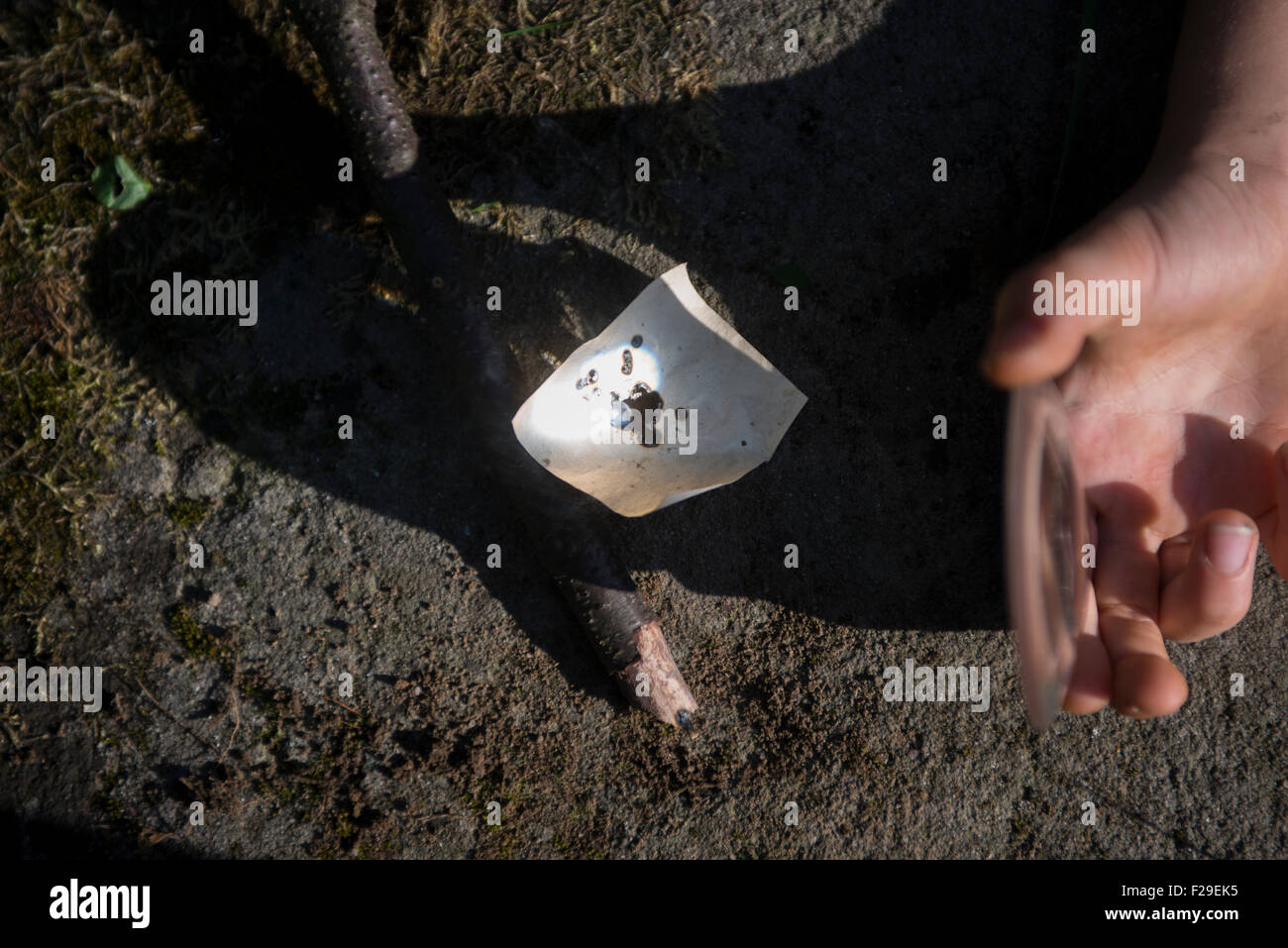 Boy Starting a Fire with a Magnifying Glass Stock Photo - Alamy