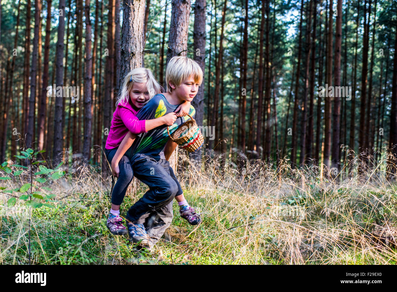 Young boy giving young girl piggyback outdoors smiling, forest ...