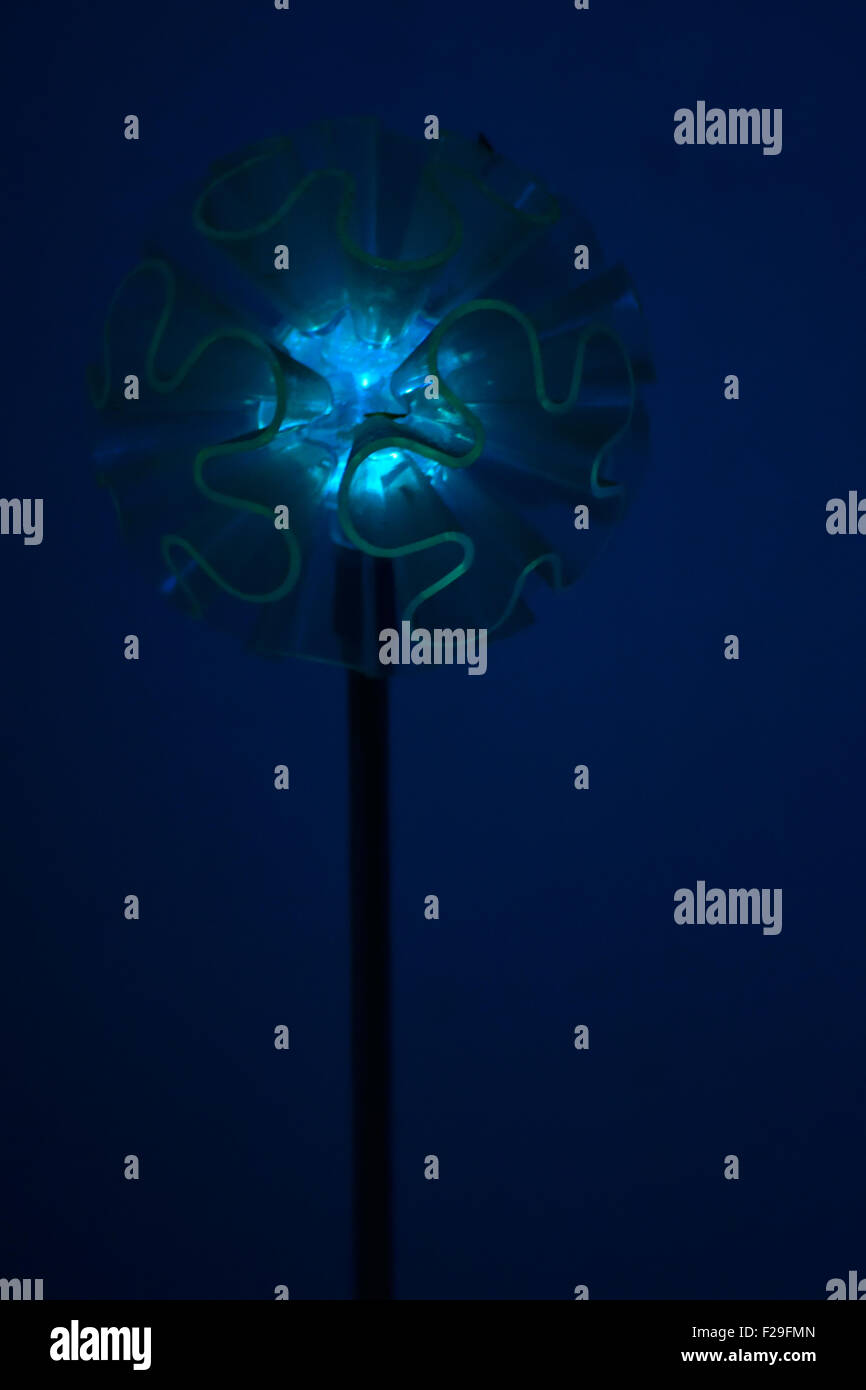 Light flower hi-res stock photography and images - Alamy