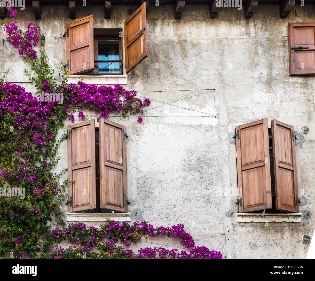 Beautiful vintage windows with colorful flowers and wooden doors ...
