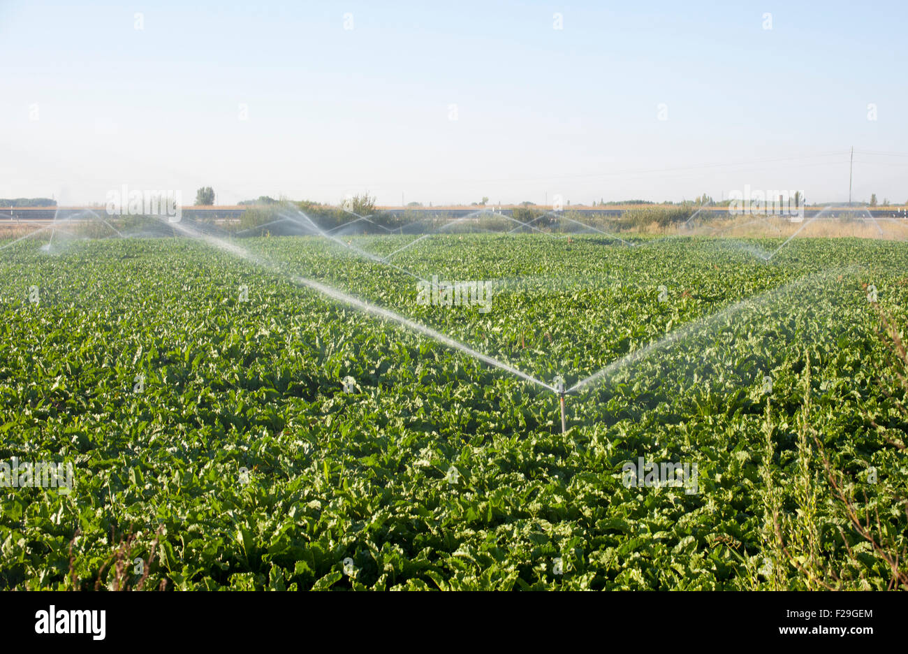 Irrigating farms hi-res stock photography and images - Alamy