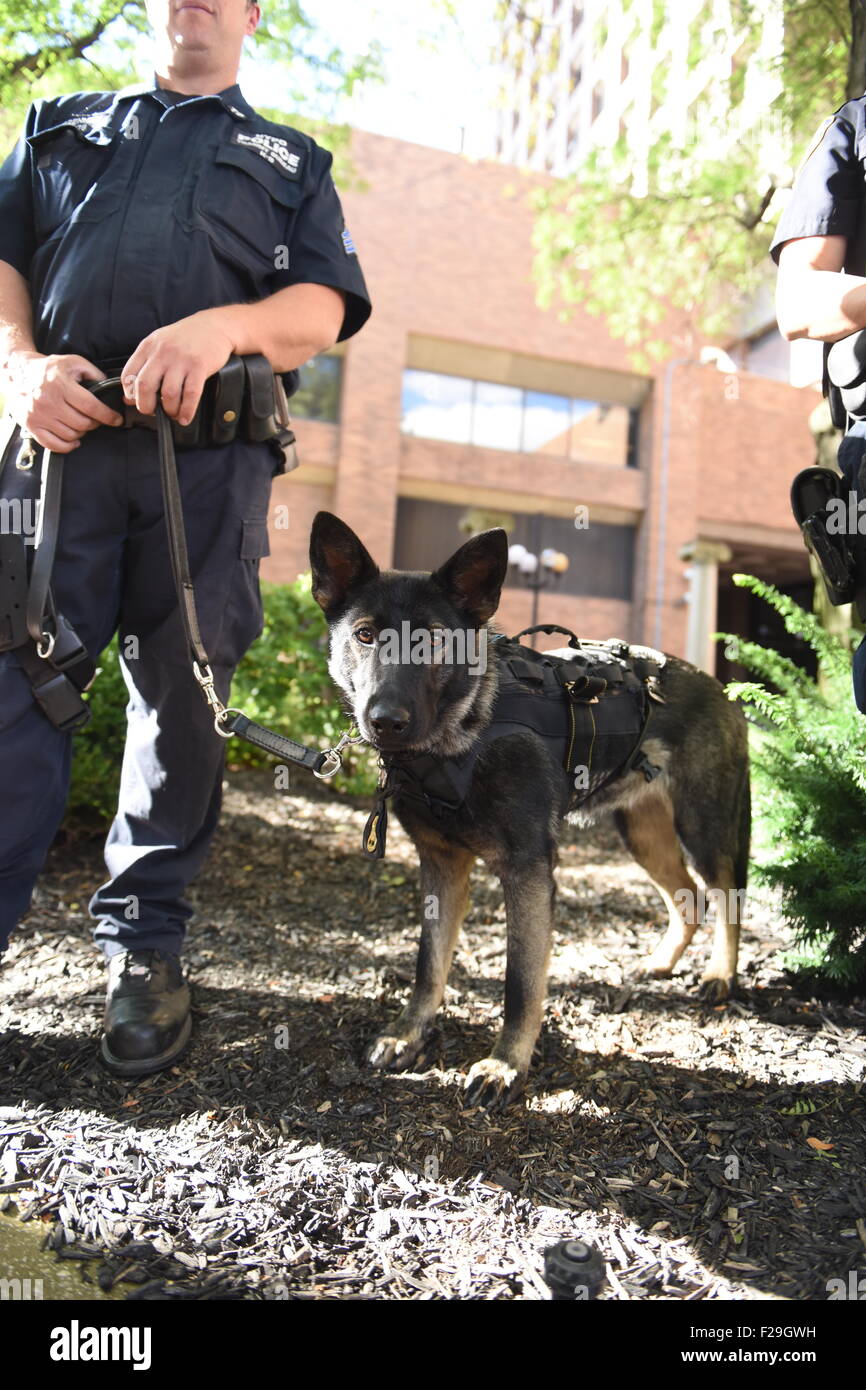 New York City, United States. 14th Sep, 2015. Bomb specialist K9 with ...