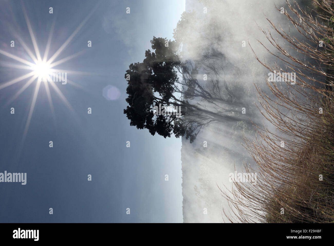 Early morning at Kilauea Volcano Stock Photo - Alamy