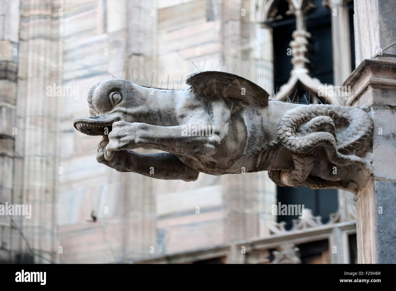 Monster, statue on the Milan cathedral - Italy Stock Photo - Alamy